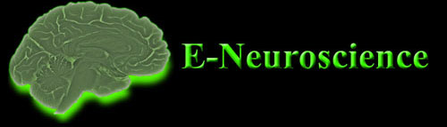 E-Neuroscience